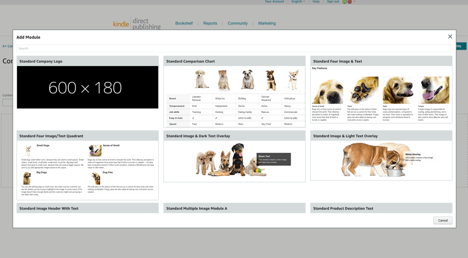 Amazon A+ Content for Authors - Written Word Media